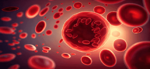 Unlock the Power of Platelets: Supercharge Your Blood with ...
